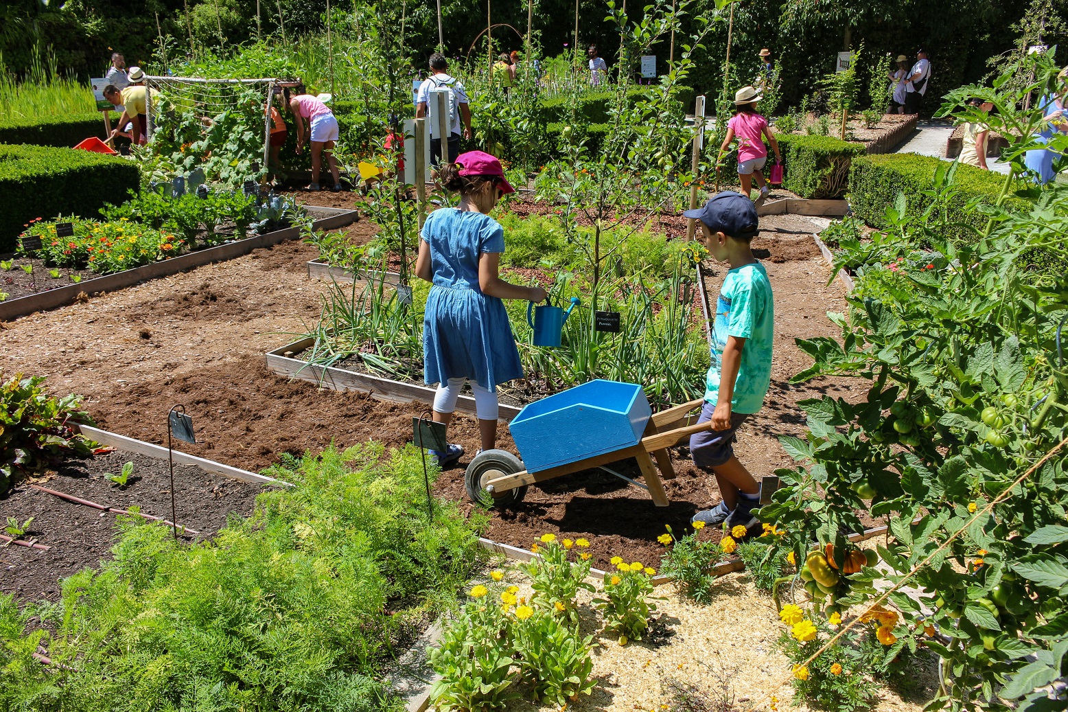 Jardin Malin Noizay