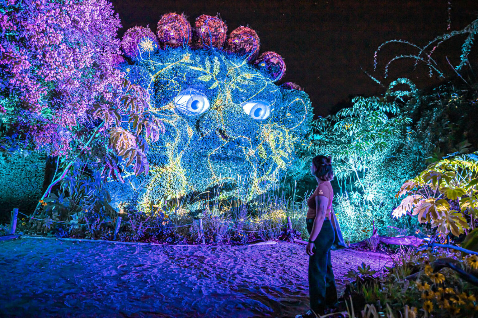 + 55% de visiteurs, nouveau record estival ! - Terra Botanica - Terra ...